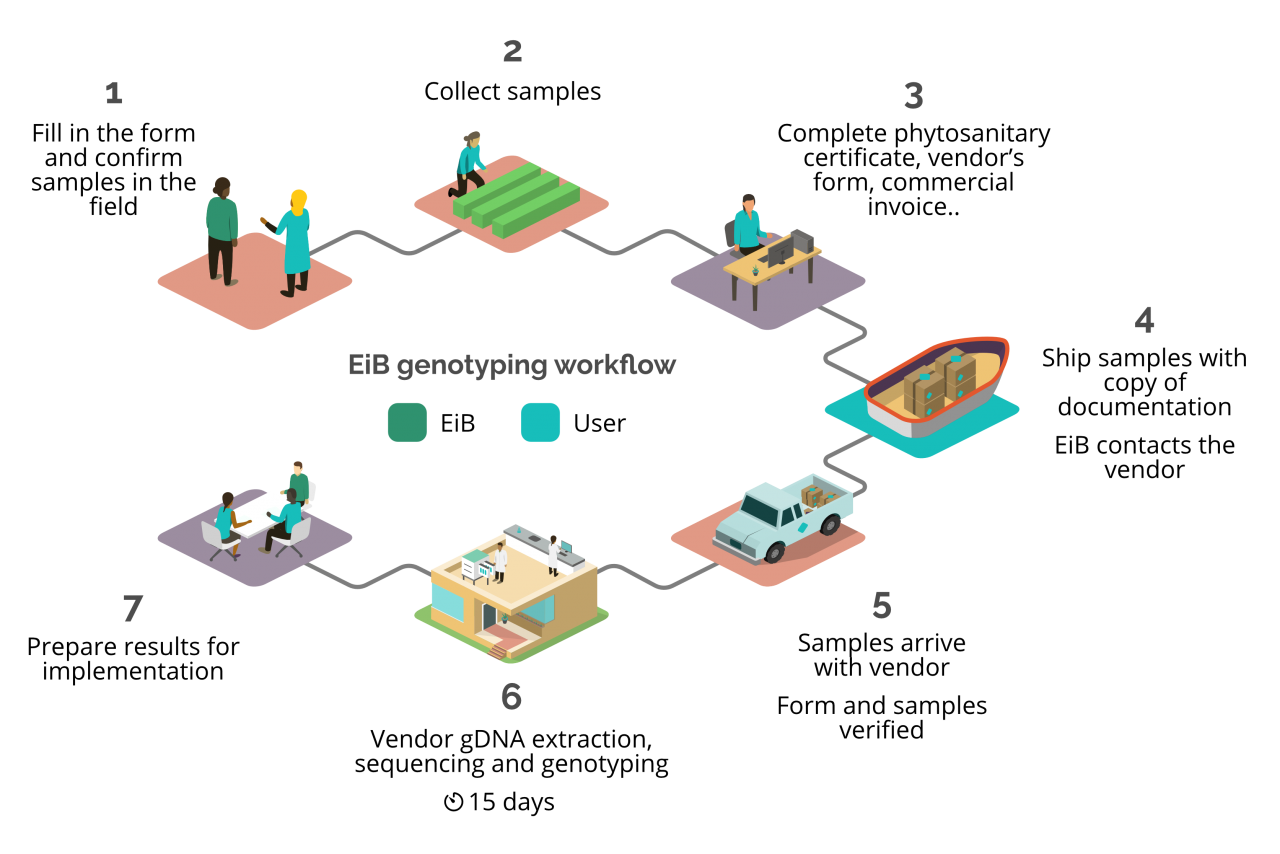 New genotyping services launched across CGIAR and partners | Excellenceinbreeding